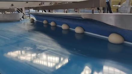 Buy Single Rail Rounder from China - HEBEI AOCNO BAKING MACHINERY CO.,LTD.